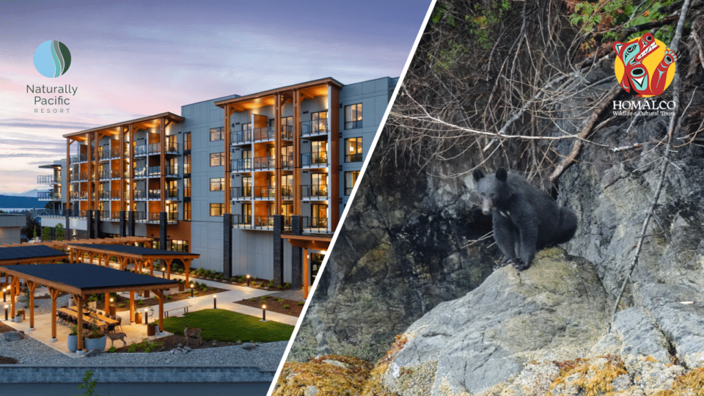 Tour and Accommodation Packages | Campbell River - Homalco Wildlife ...